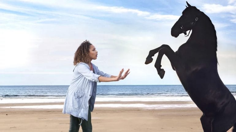 When is Season 2 of Free Rein on Netflix?