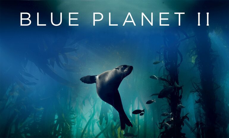 When will Blue Planet 2 be on Netflix?