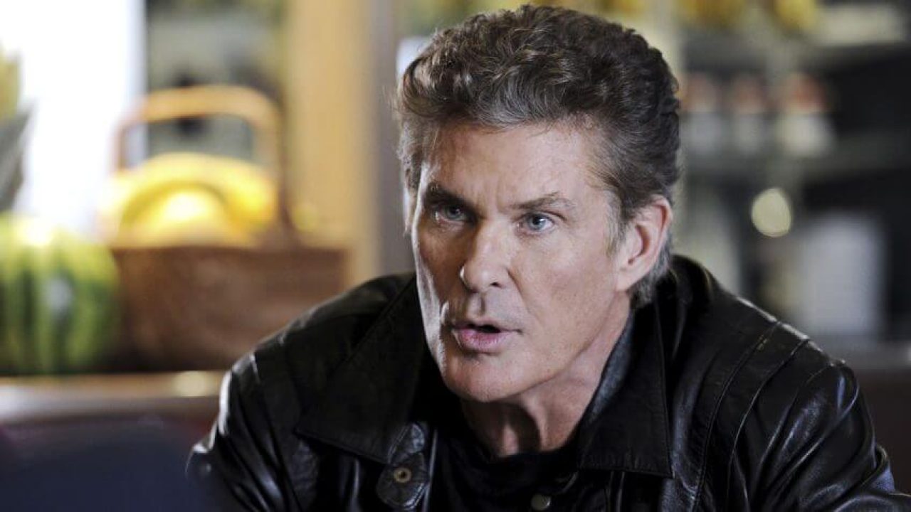 David Hasselhoff's 'Hoff the Record' Leaving Netflix in April 2022