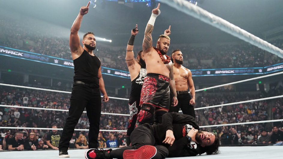 What Differences Can We Expect from Raw and Smackdown on Netflix?