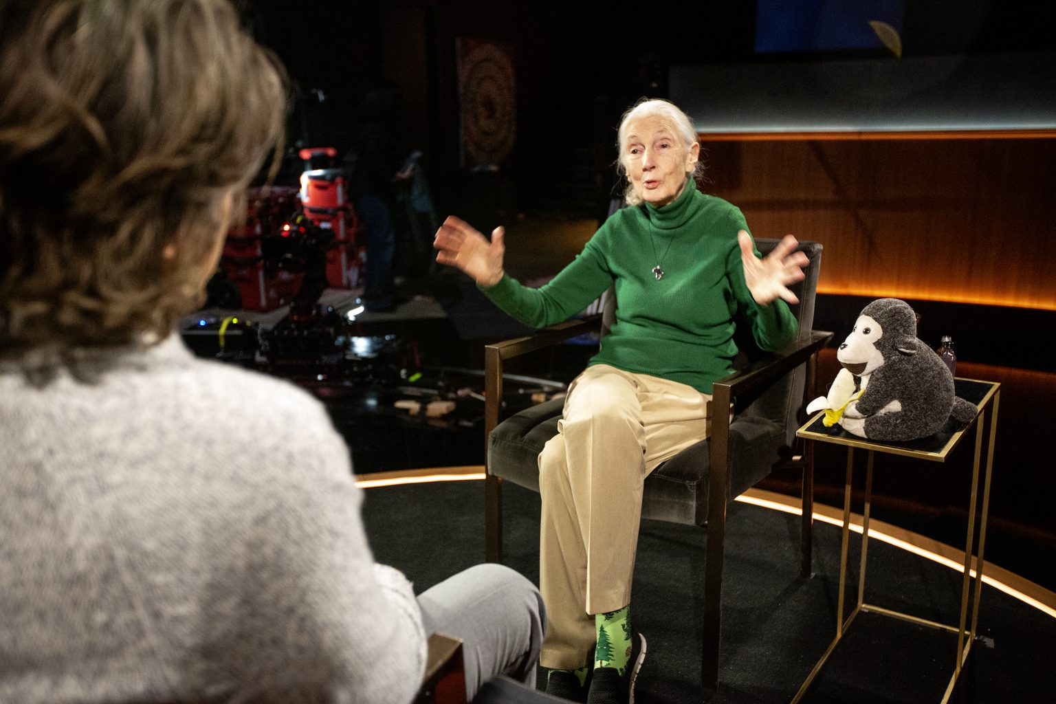 Dr. Jane Goodall Honored In Final Interview on Netflix In 'Famous Last ...