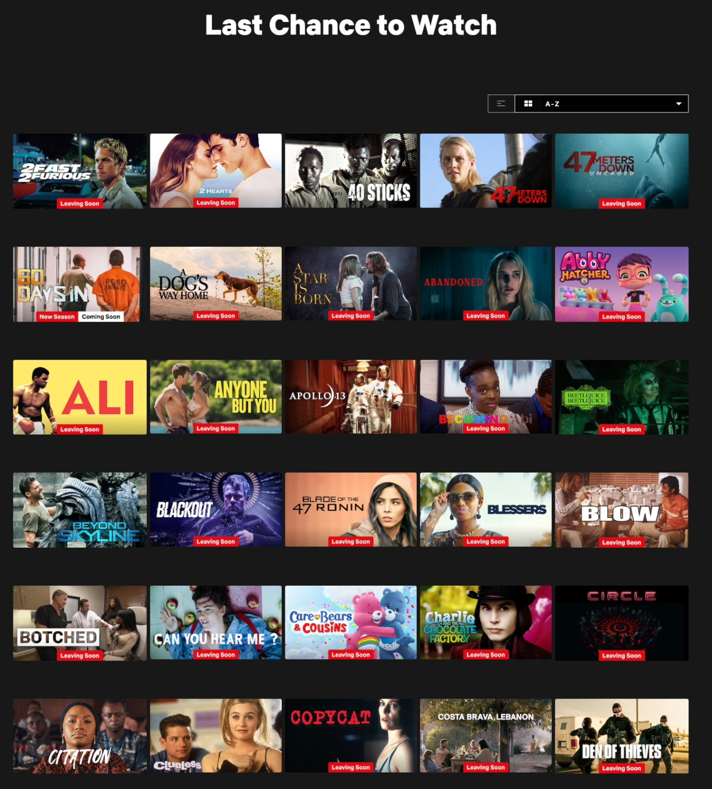 Netflix Finally Adds Long Awaited Category for Movies and Series ...
